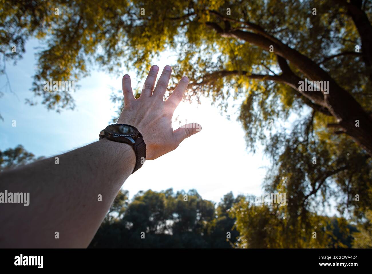 man hand with watch on wrist sun rays through palm Stock Photo - Alamy