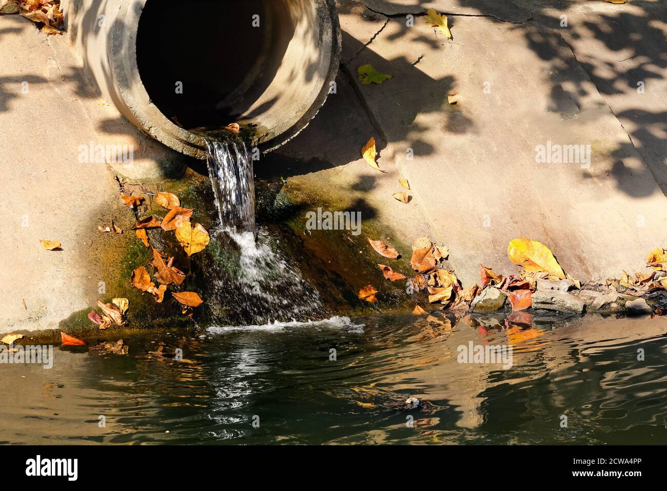 Dirty Water Pollution