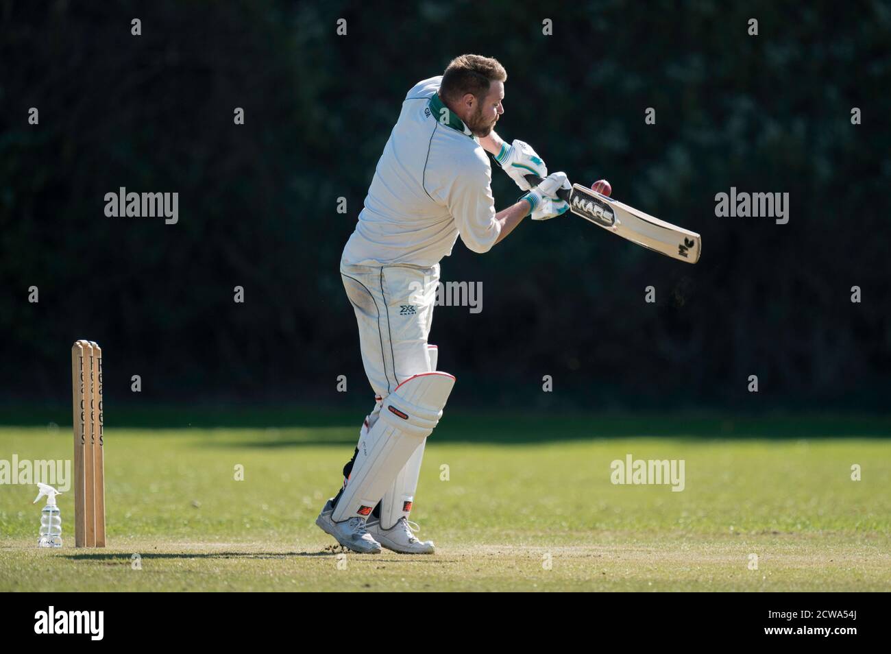 Cricket action shot hi-res stock photography and images - Alamy