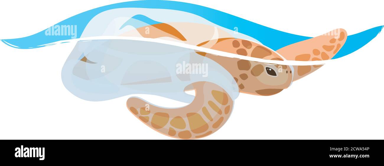 Garbage sea turtle Cut Out Stock Images & Pictures - Alamy