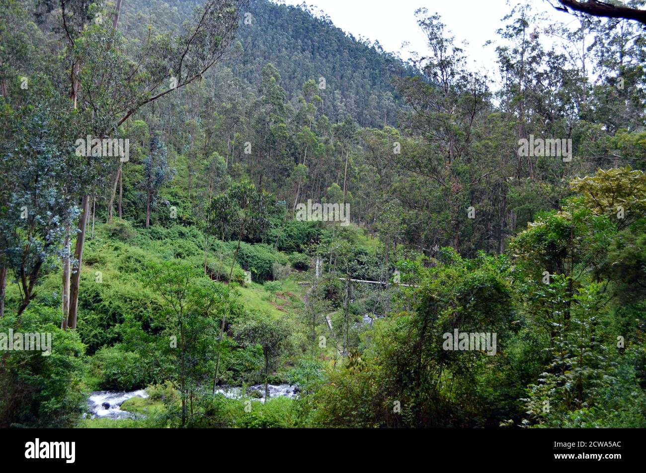 Otavalo, Ecuador - Countryside by Cascada Peguche Stock Photo - Alamy