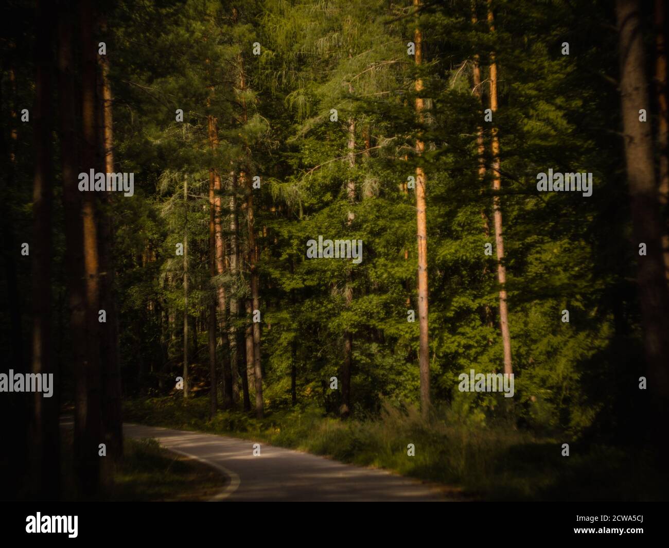 Calm evenings hi-res stock photography and images - Alamy