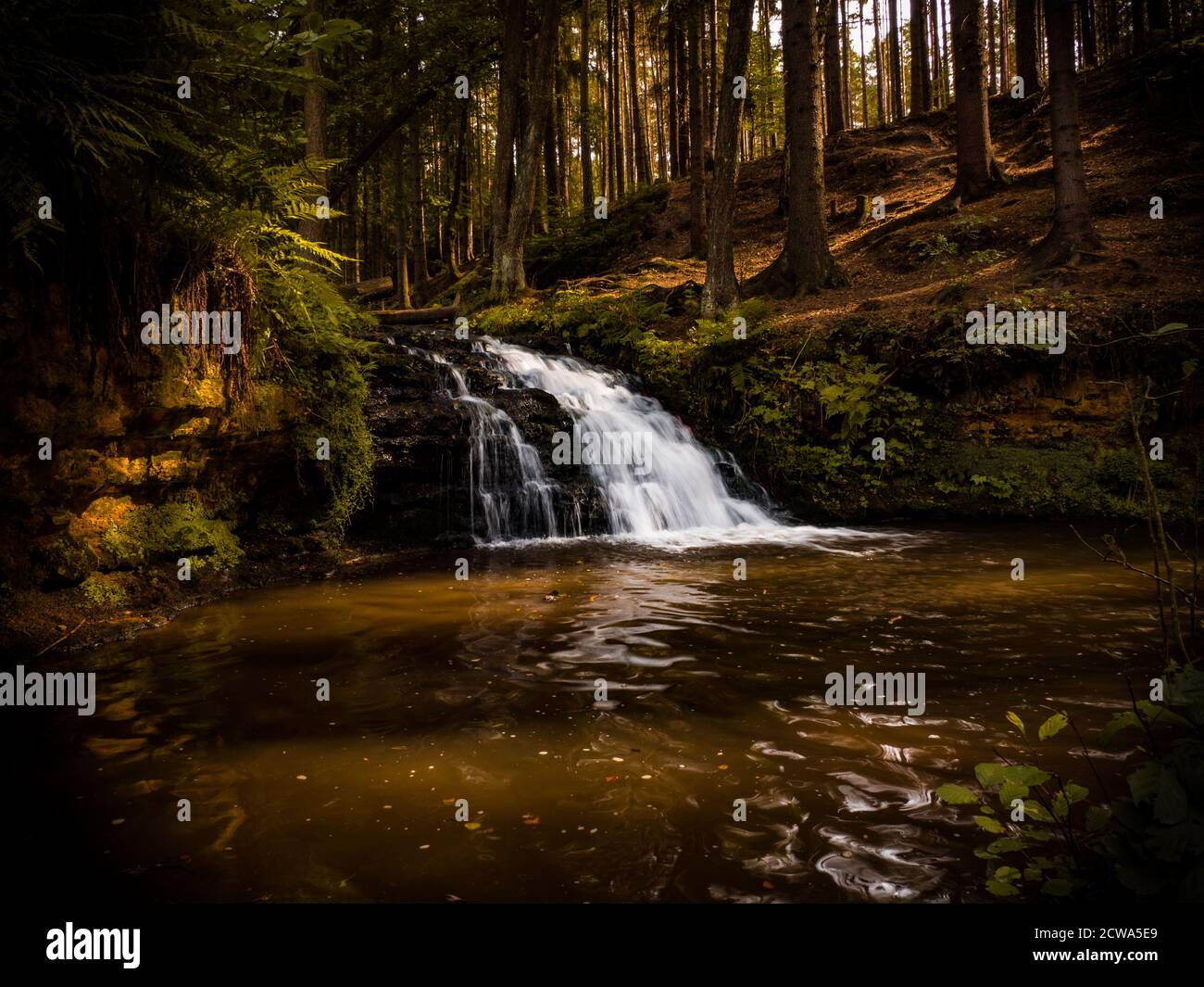 Secret mystic pond with amazing calm atmosphere Stock Photo - Alamy