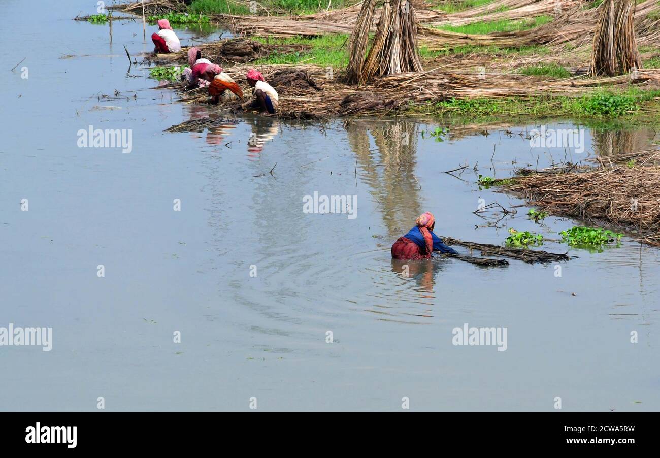Indian jute industry hi-res stock photography and images - Alamy