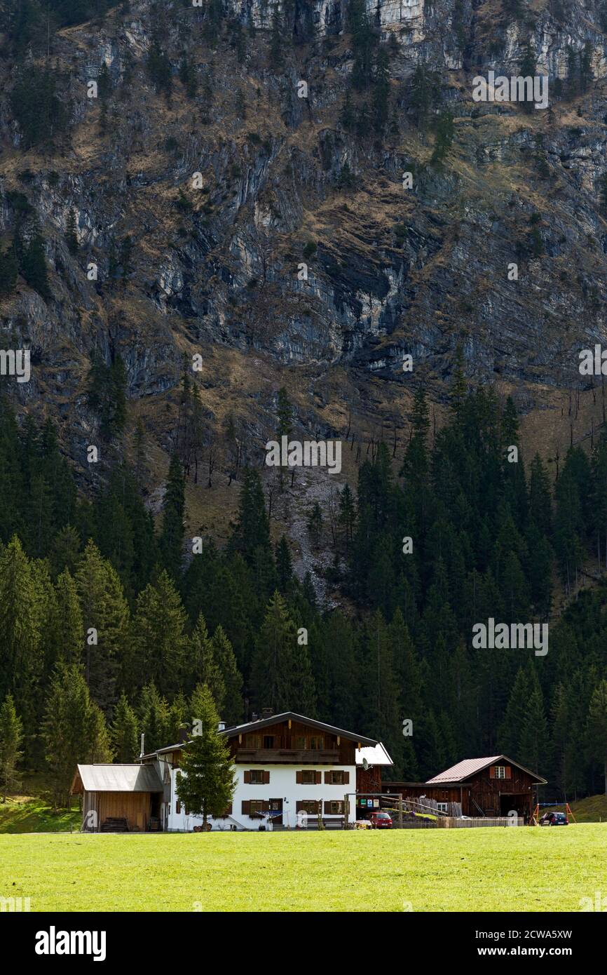 Oberstdorf, Stillachtal, Bergbauernhof, Wiesen, Bergwald, Bayern, Deutschland Stock Photo - Alamy