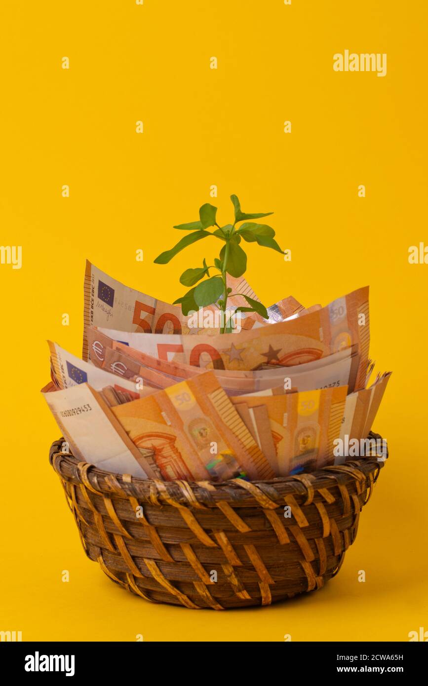 Growing a money-tree: A plant is growing out of a roll with 50 euro ...