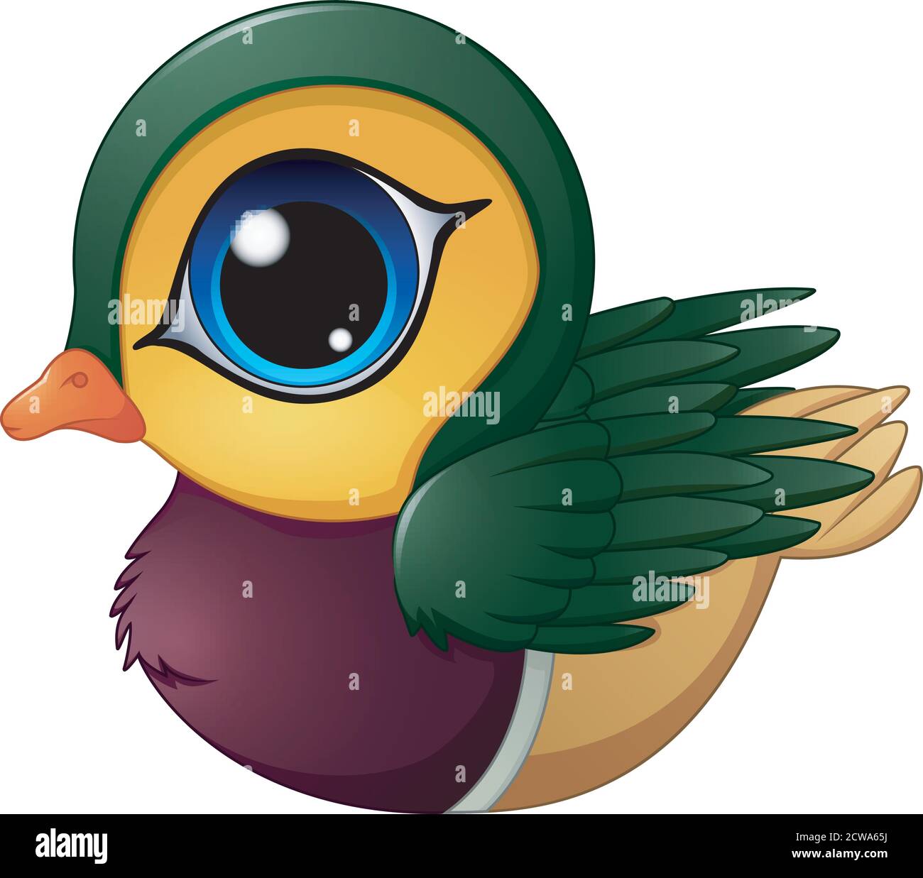 Vector illustration of Mandarin duck cartoon Stock Vector Image & Art ...