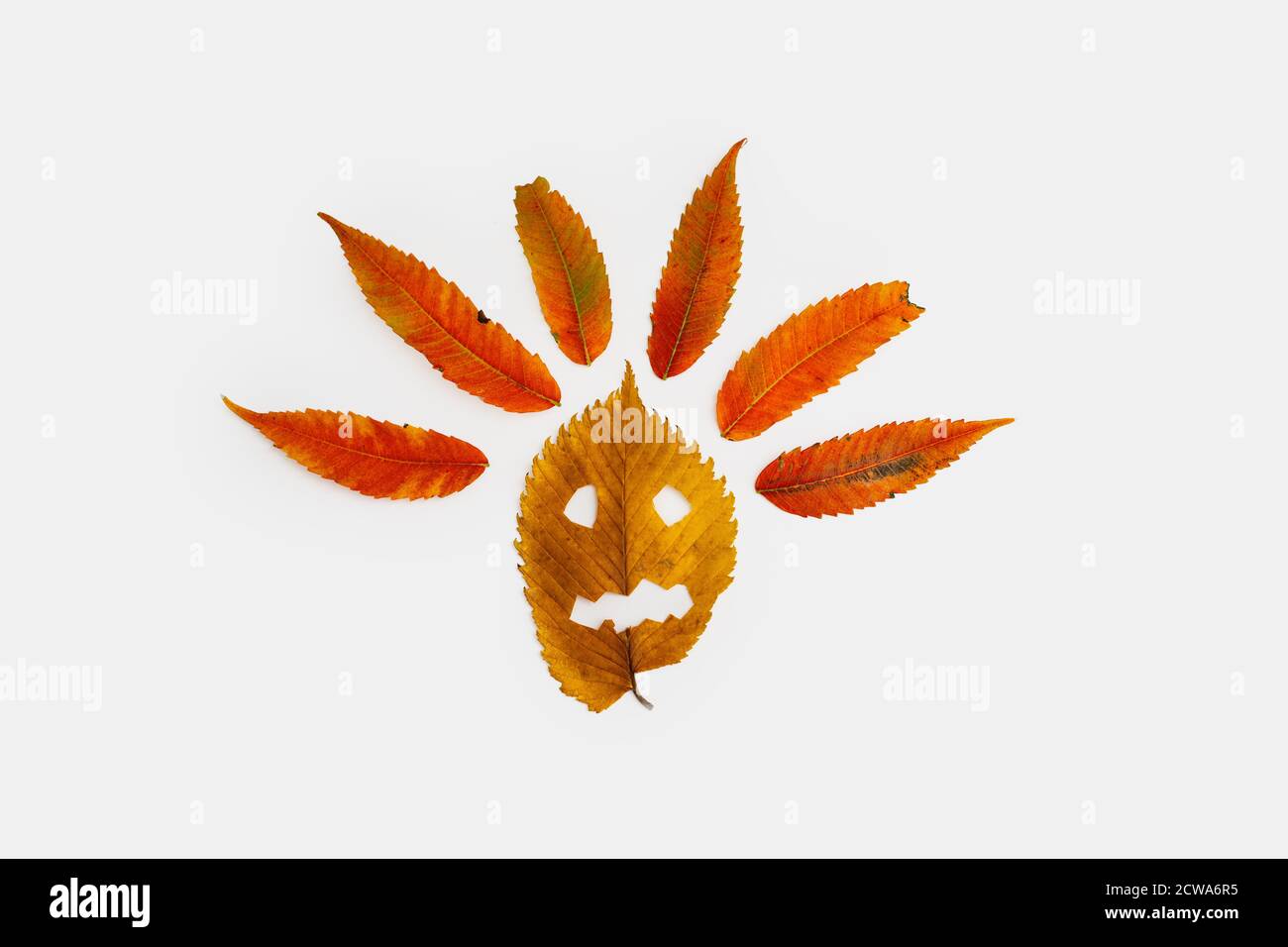 Yellow autumn leaf with halloween face isolated on white background ...