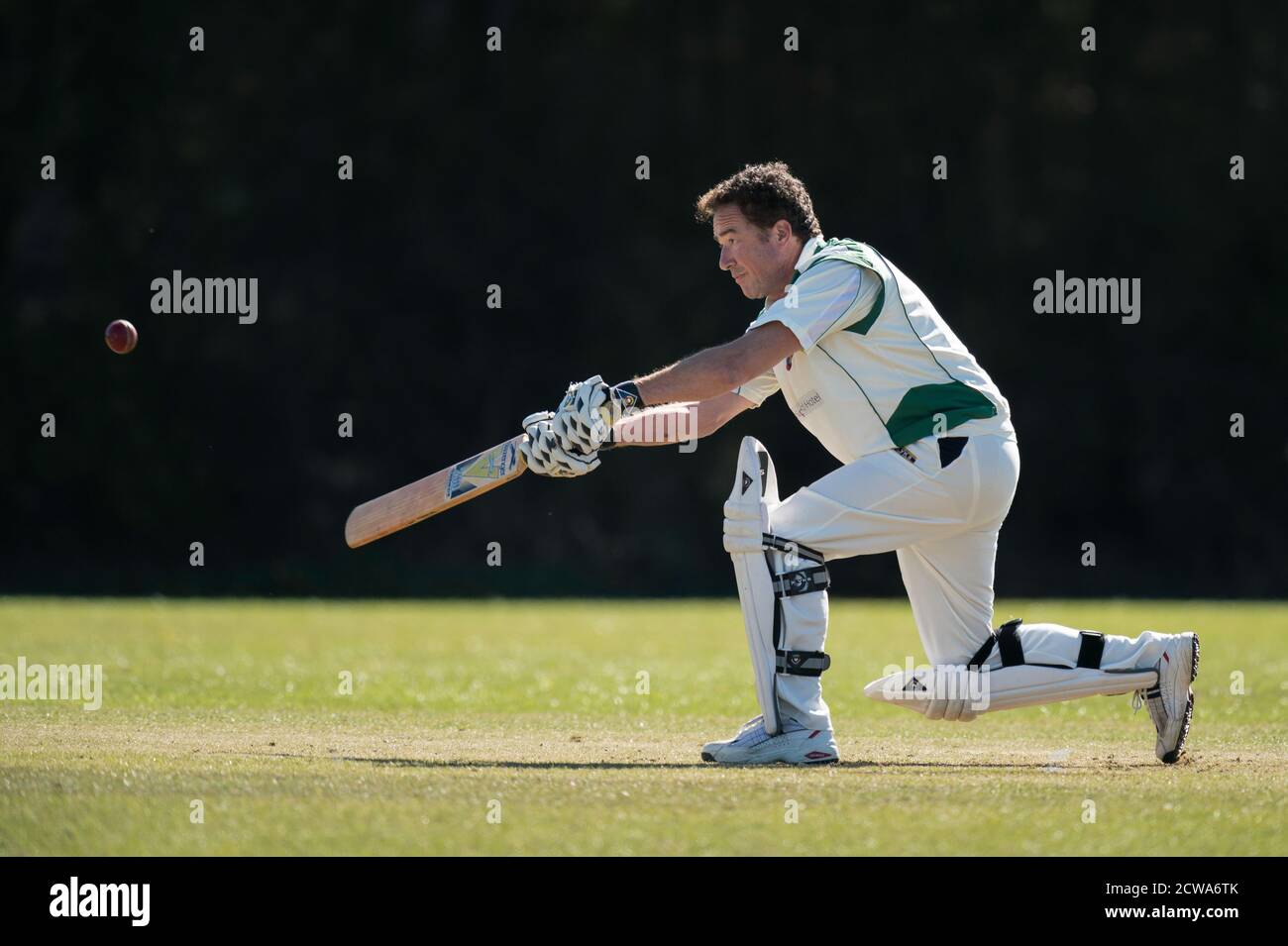 Cricket batsman playing shot Stock Photo - Alamy