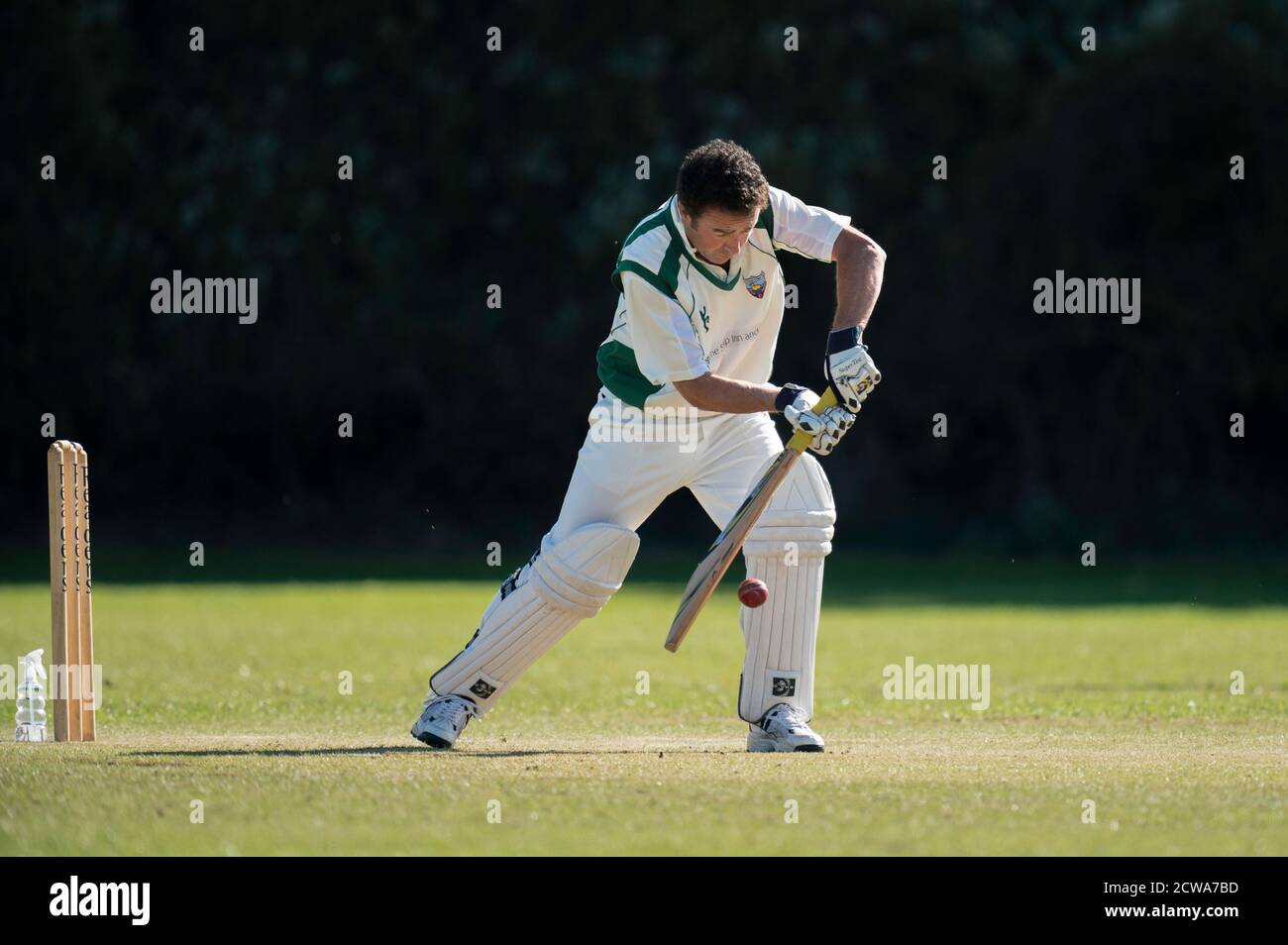 Cricket batsman playing shot Stock Photo - Alamy