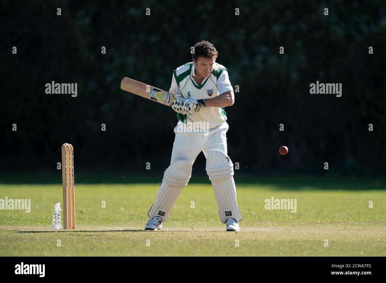 Cricket batsman playing shot Stock Photo - Alamy