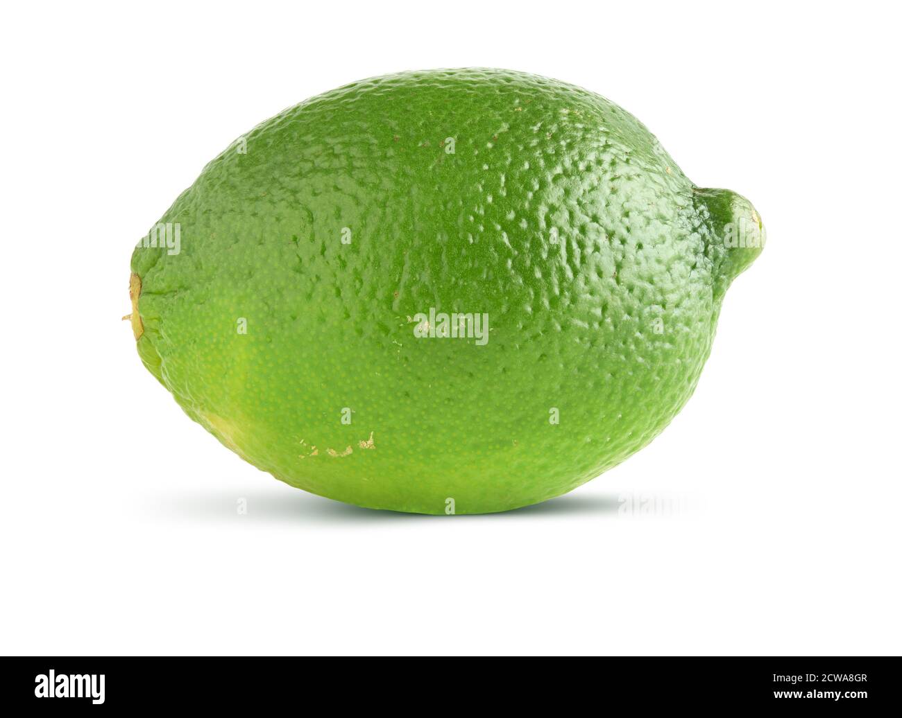 Whole lime fruit isolated on white background with clipping path Stock ...