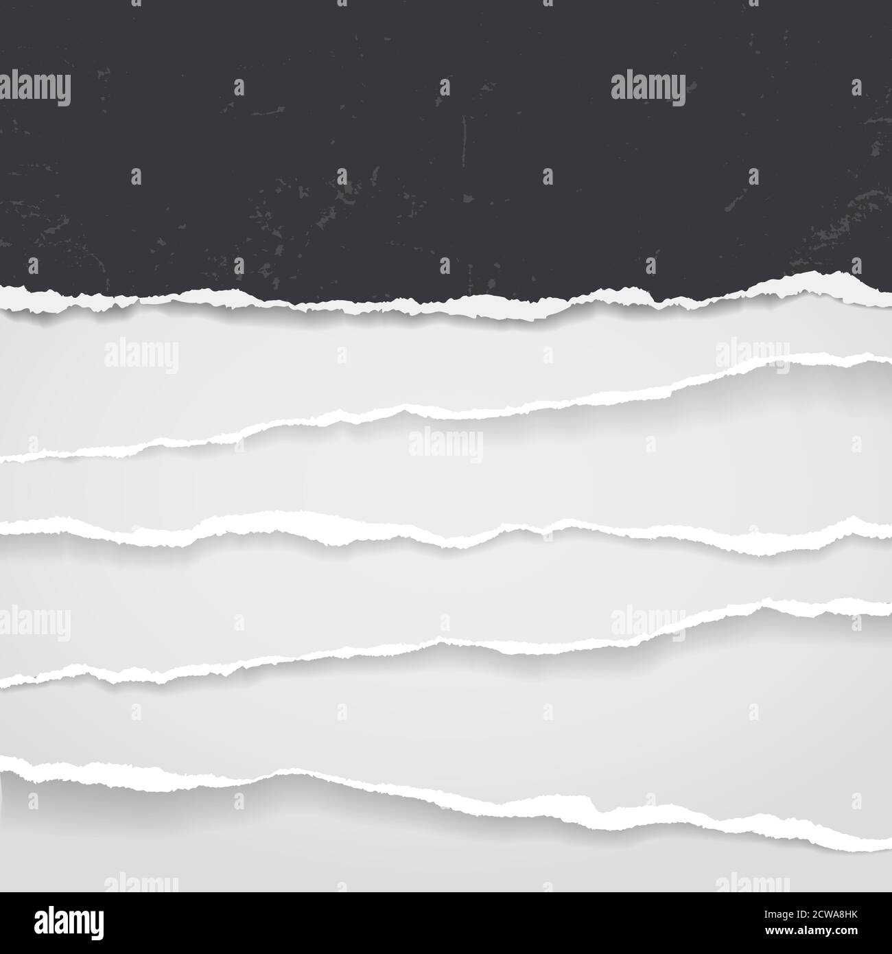 Pieces of torn, ripped black and white paper with soft shadow are on ...