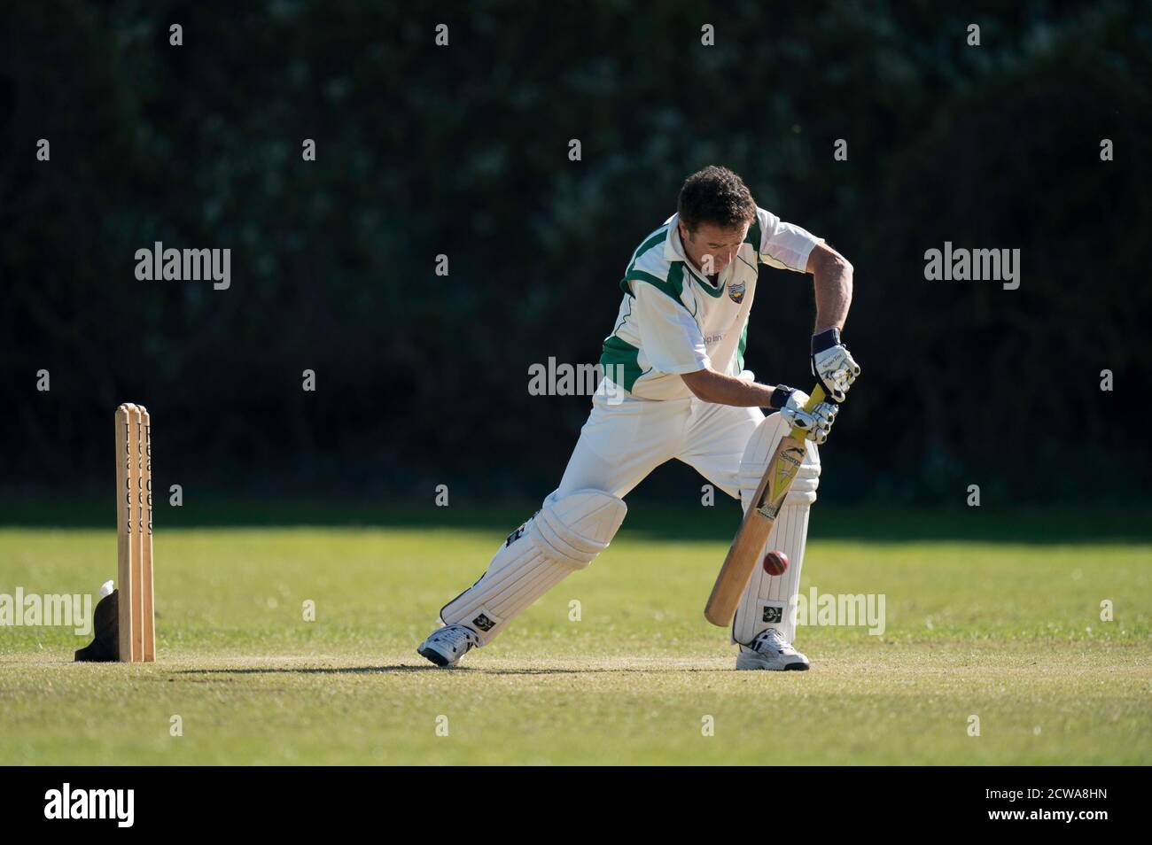 Cricket shot hi-res stock photography and images - Alamy