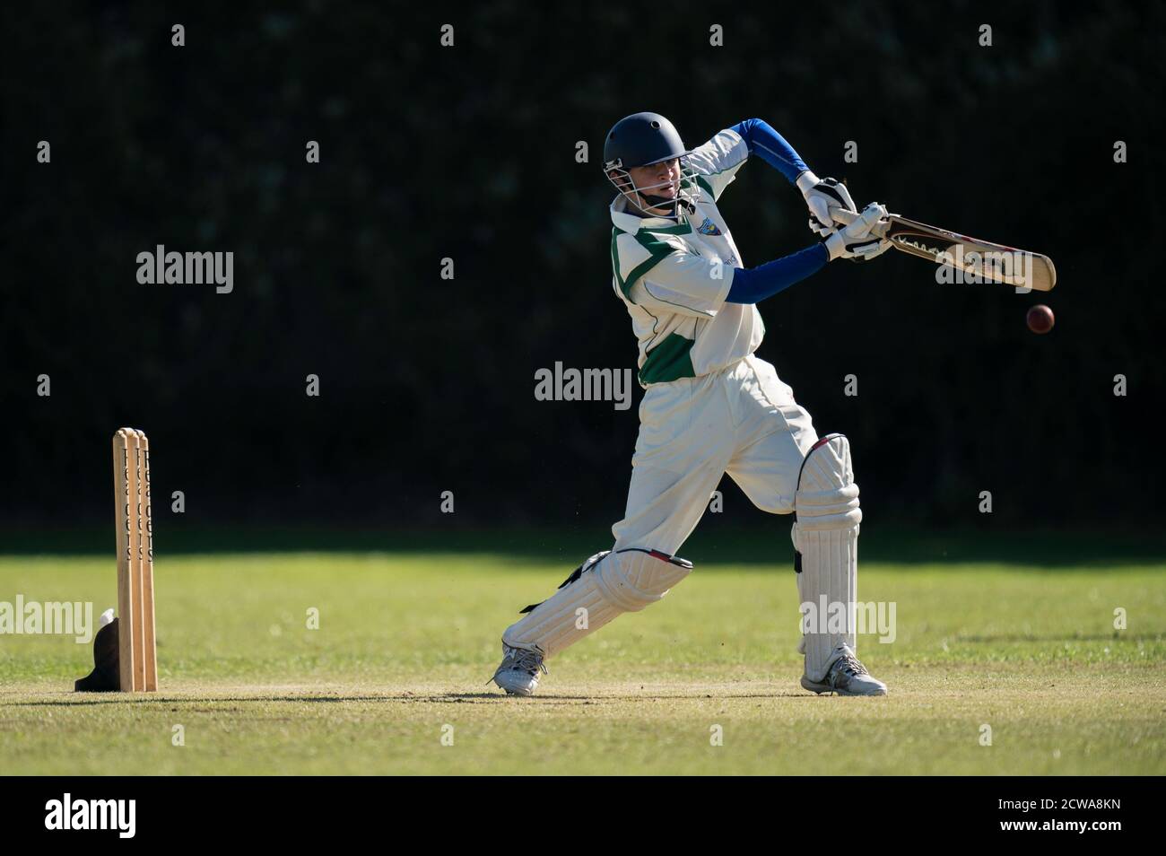 Cricket batsman playing hi-res stock photography and images - Alamy