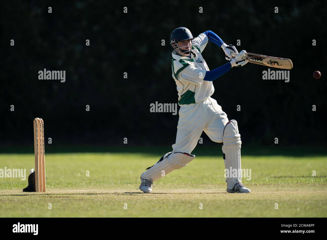 Man in cricket gear hi-res stock photography and images - Alamy