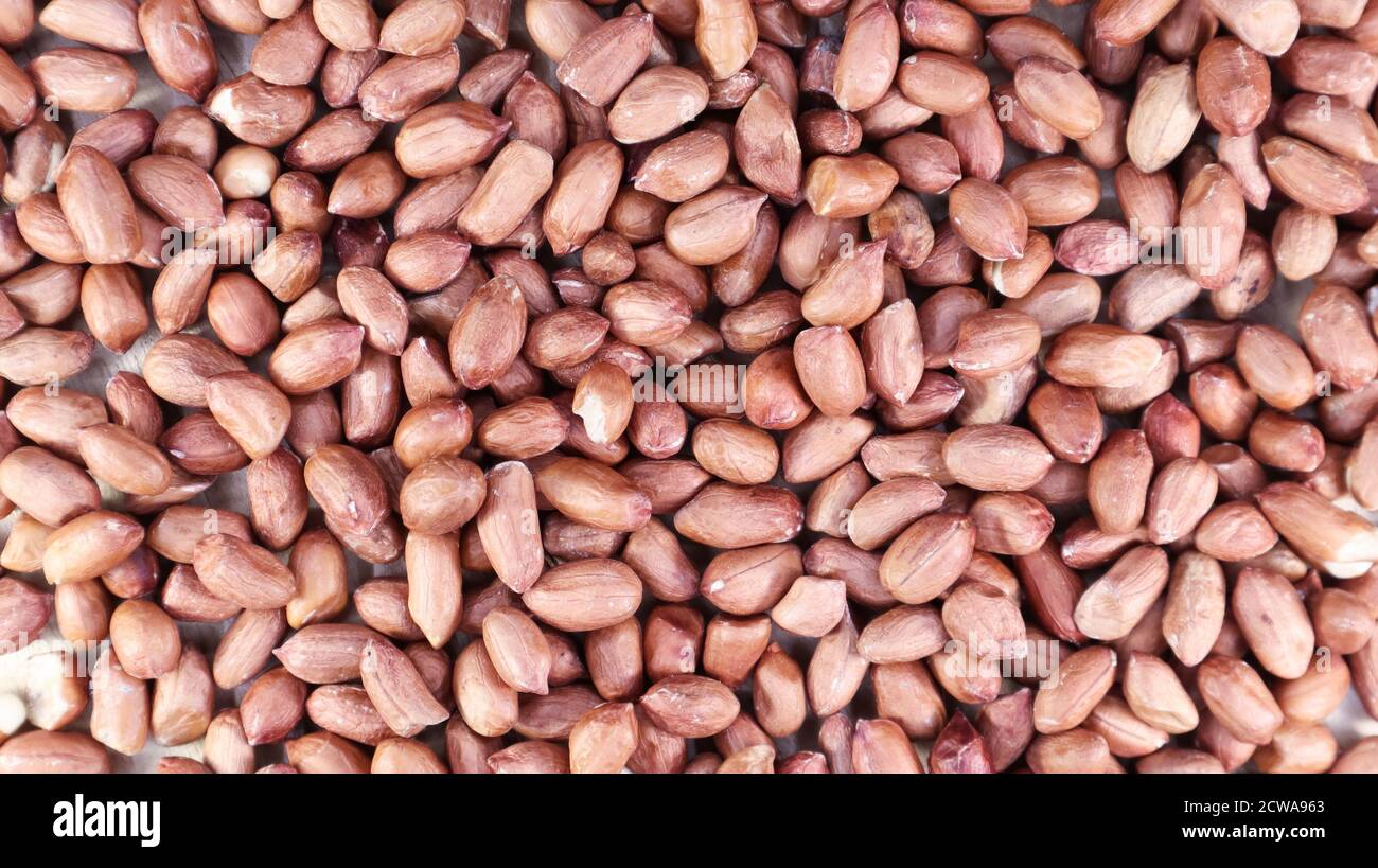 Heap of raw peanuts. Cultivated peanuts, underground or groundnuts ...