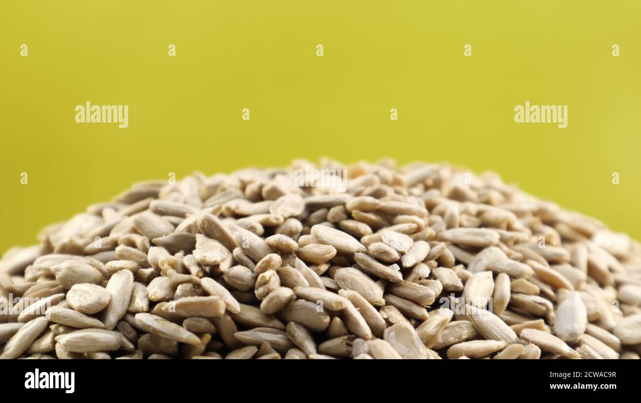 Sunflower seeds, peeled, without shell. Background of peeled not ...