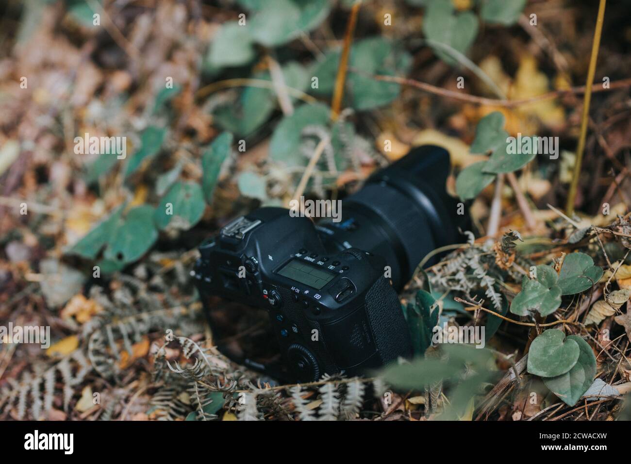 Filming ground hi-res stock photography and images - Alamy