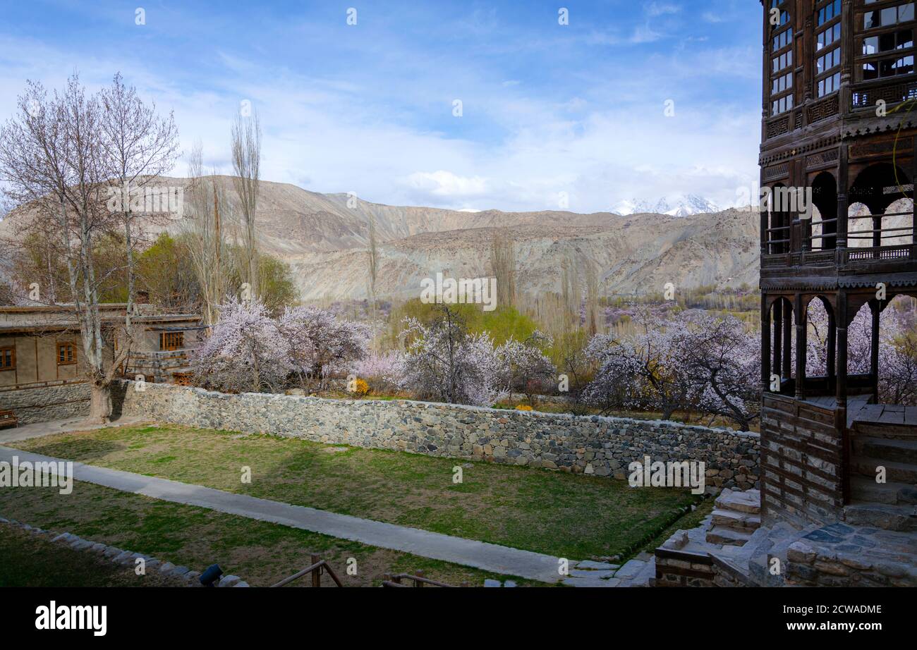spring landscape photography of cherry blossom in northern areas of ...