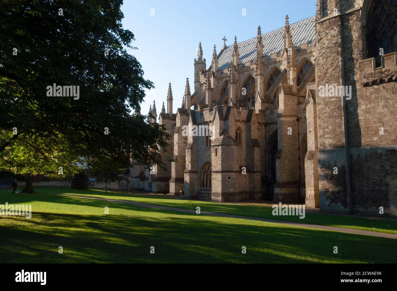 The Cathedral Church of Saint Peter in Exeter, Devon, England Stock ...