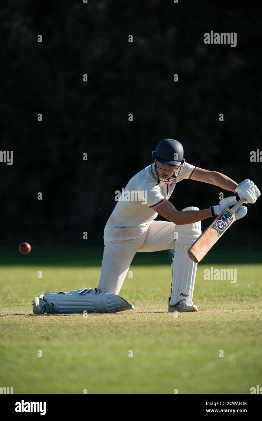 Cricket batsman playing square cut hi-res stock photography and images ...