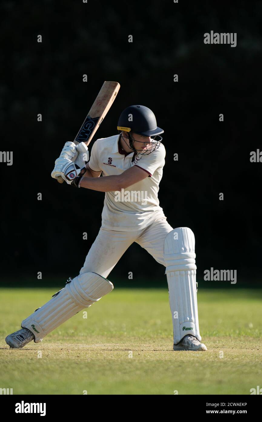 Sport cricket head shot hi-res stock photography and images - Alamy