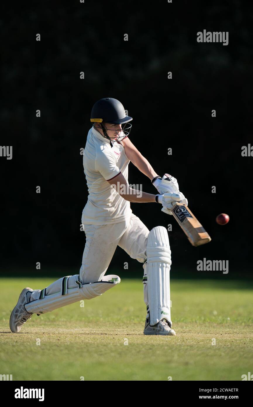 Cricket batsman playing shot Stock Photo - Alamy