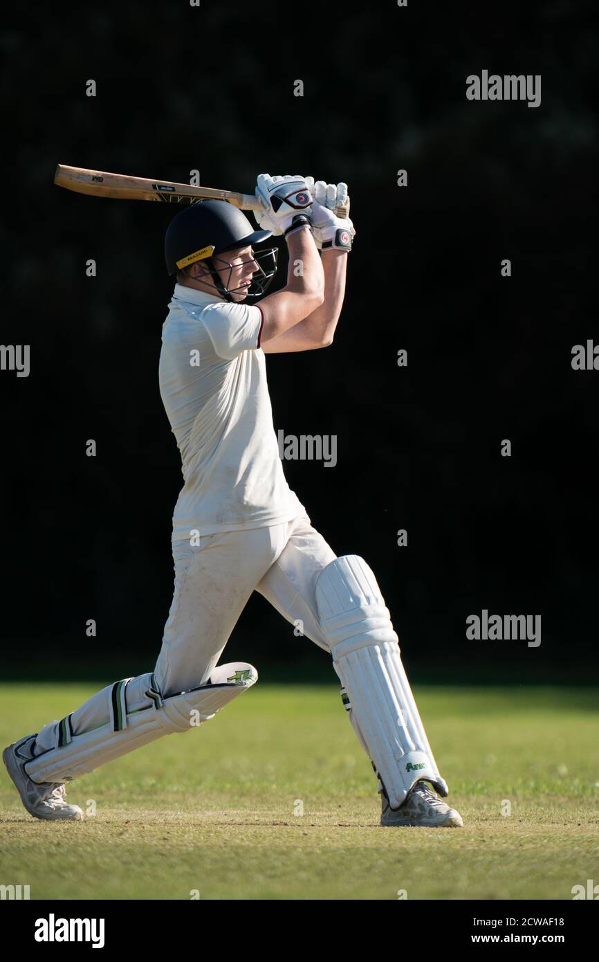 Cricket batsman playing shot Stock Photo - Alamy