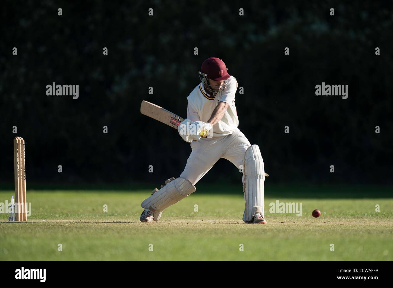 Cricket batsman playing shot Stock Photo - Alamy