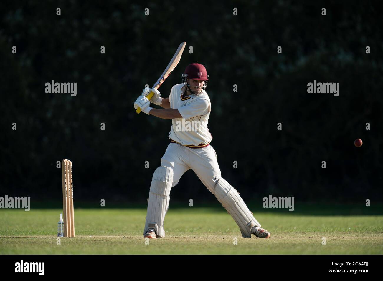 Cricket batsman playing shot Stock Photo - Alamy