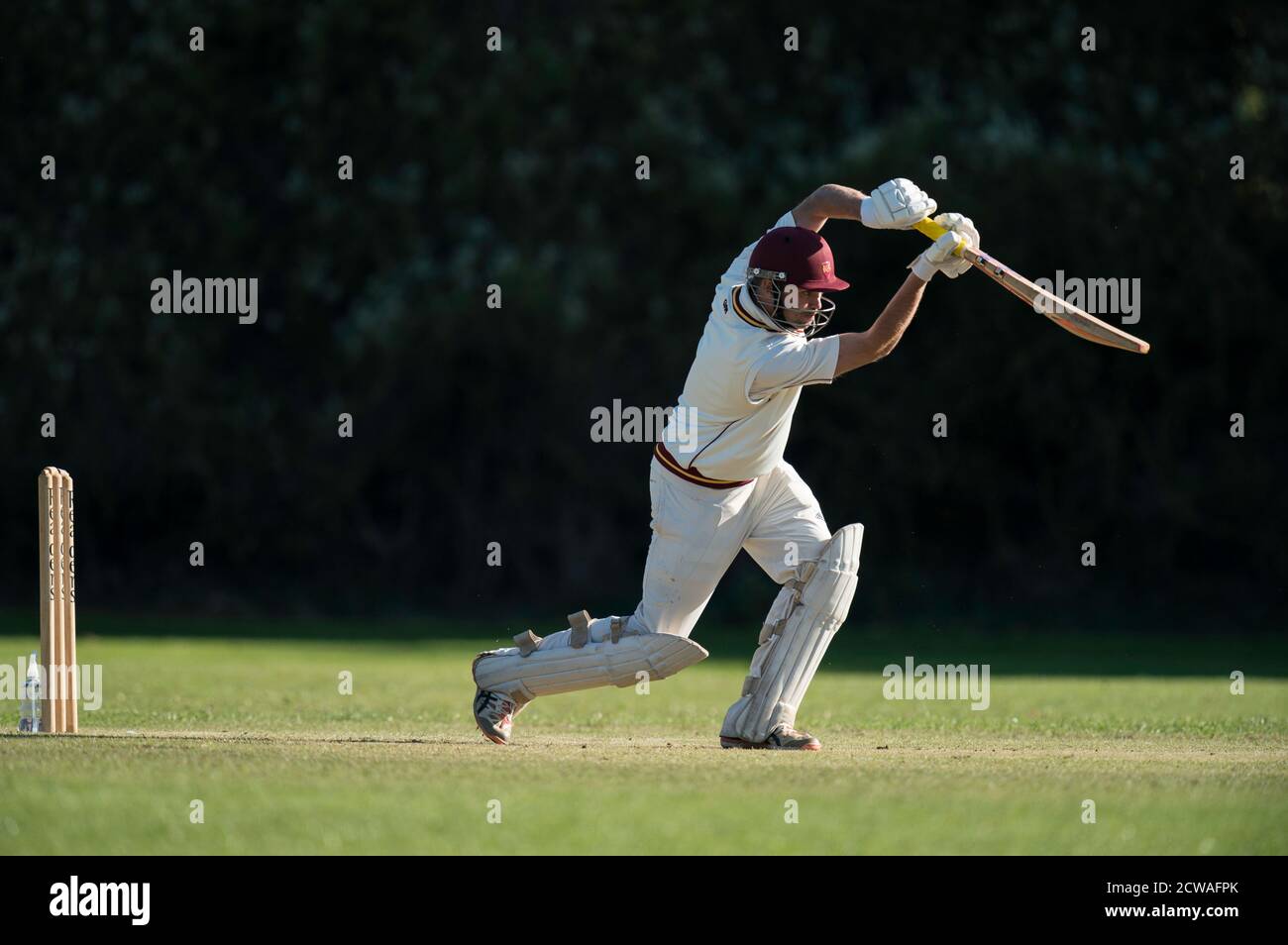 Maroon cricket helmet hi-res stock photography and images - Alamy