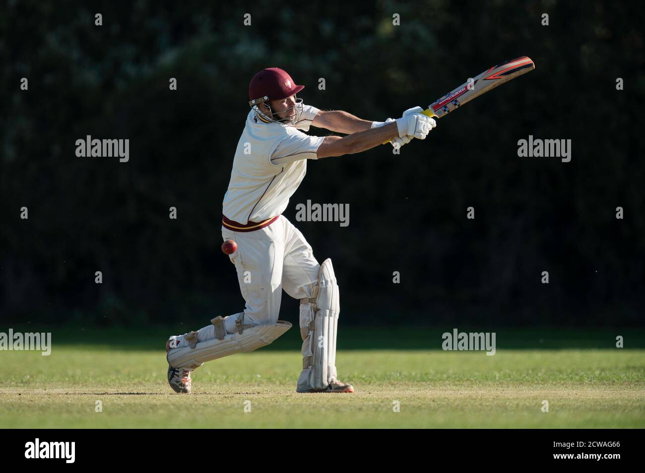 Maroon cricket helmet hi-res stock photography and images - Alamy