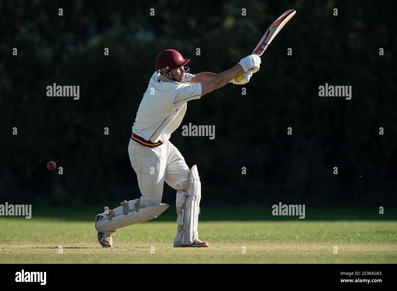 Cricket batsman playing shot Stock Photo - Alamy