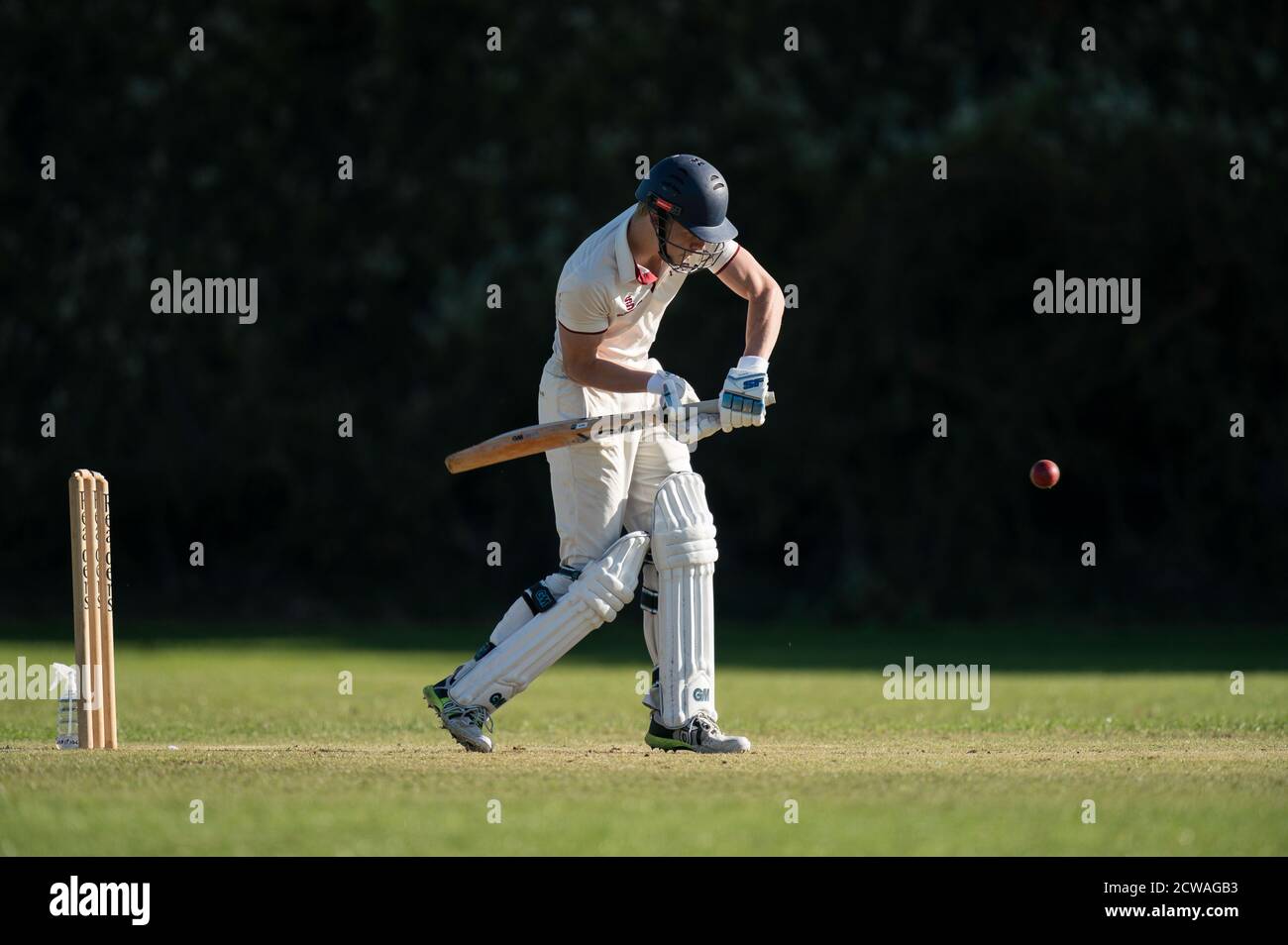 Cricket batsman playing shot Stock Photo - Alamy