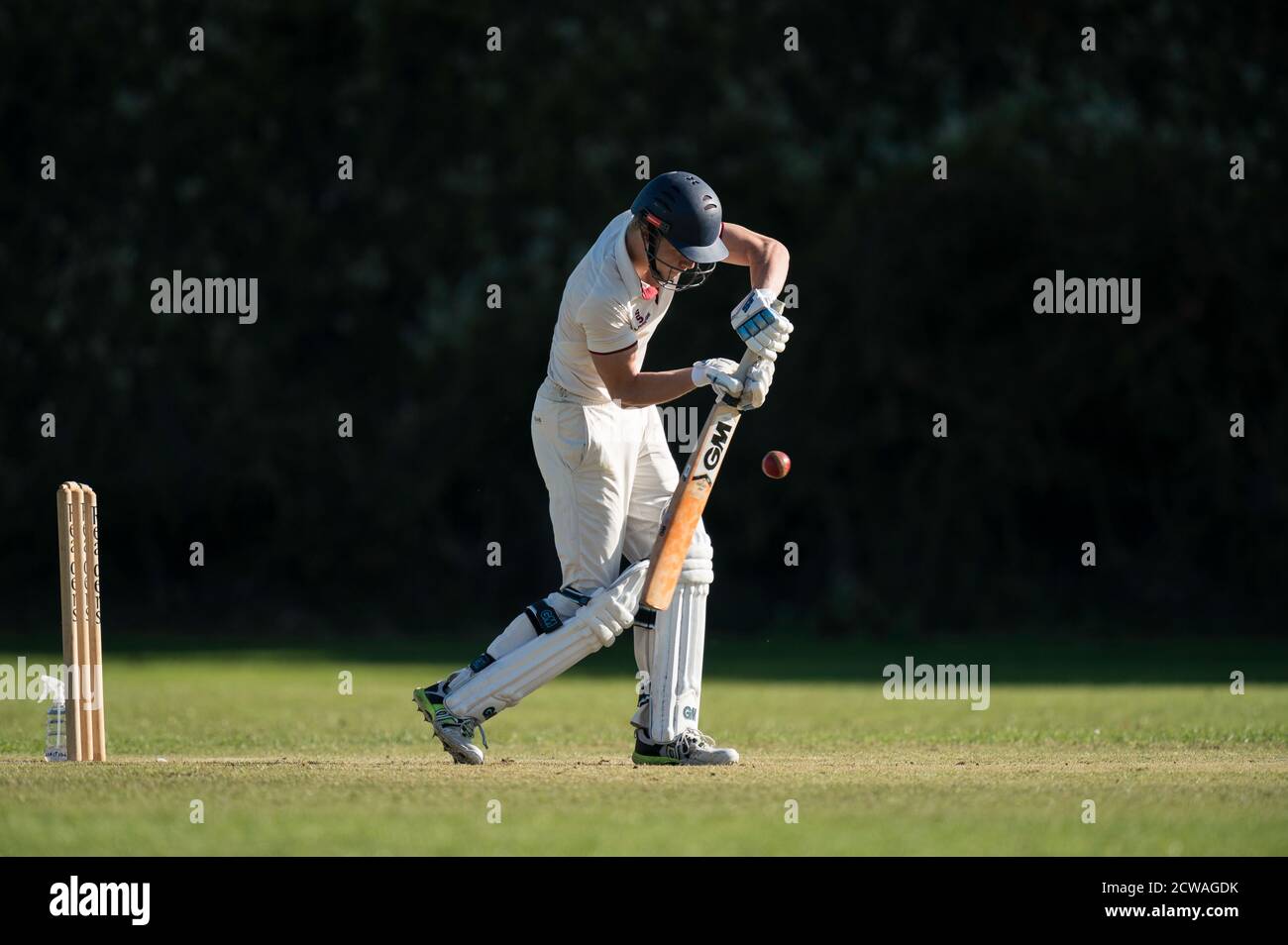 Sport cricket head head shot hi-res stock photography and images - Alamy