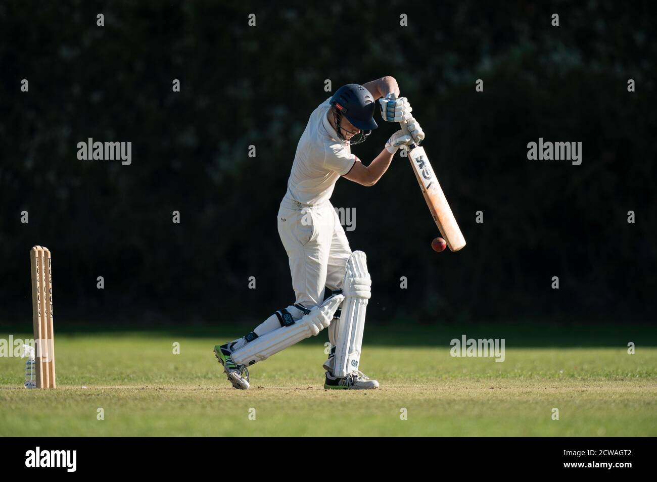 Sport cricket head shot bat hi-res stock photography and images - Alamy