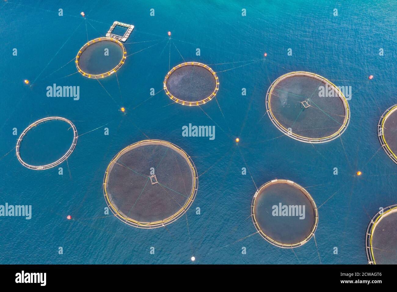Fish farm from above Stock Photo - Alamy