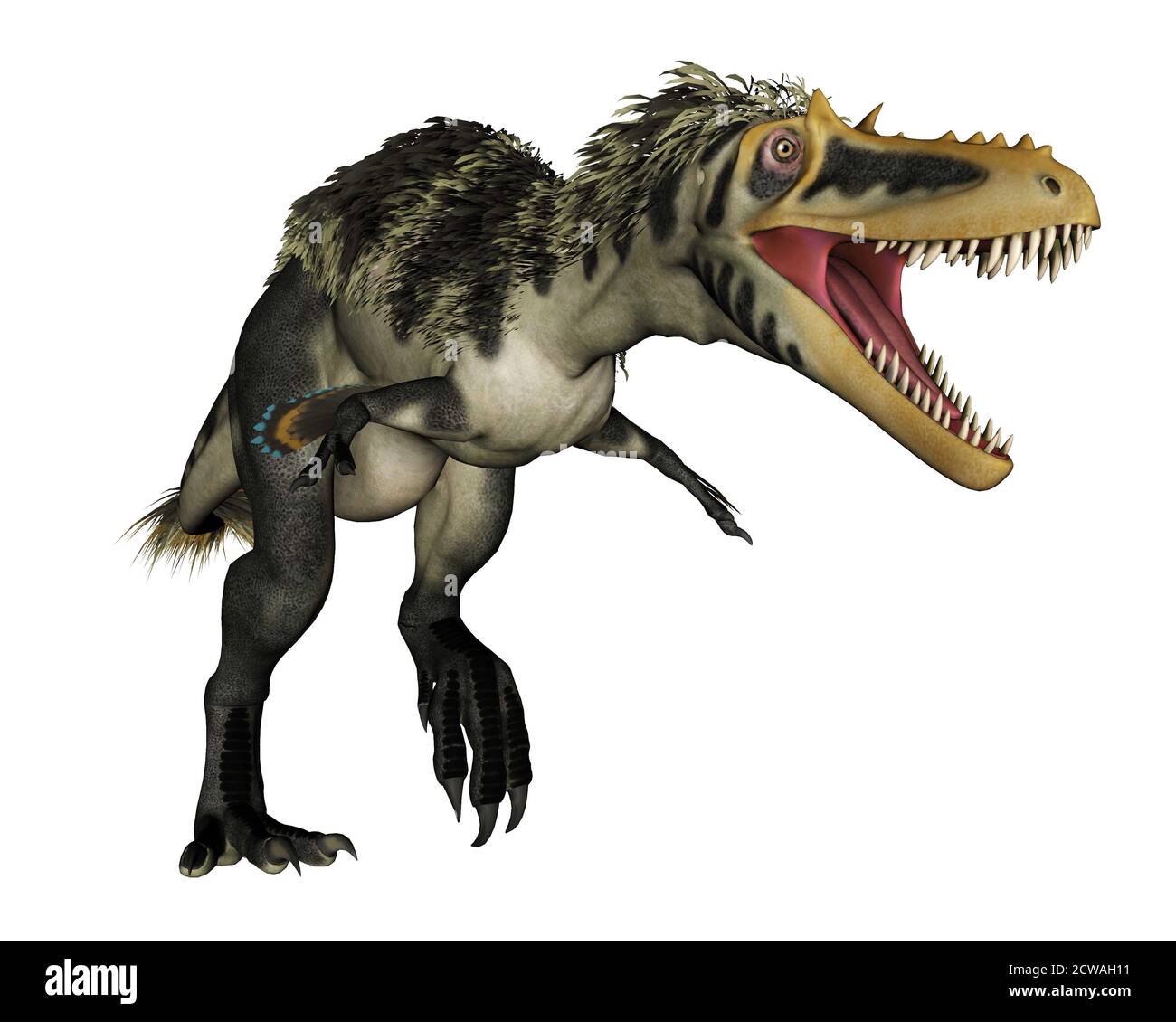 Alioramus dinosaur roaring - 3D render Stock Photo - Alamy