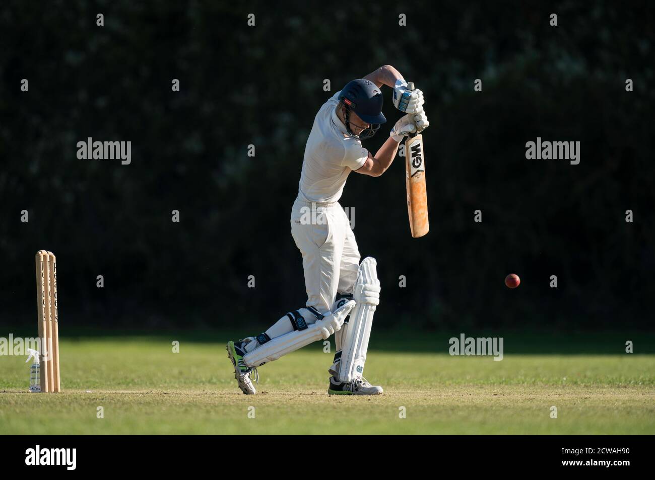 Sport cricket head shot hi-res stock photography and images - Alamy
