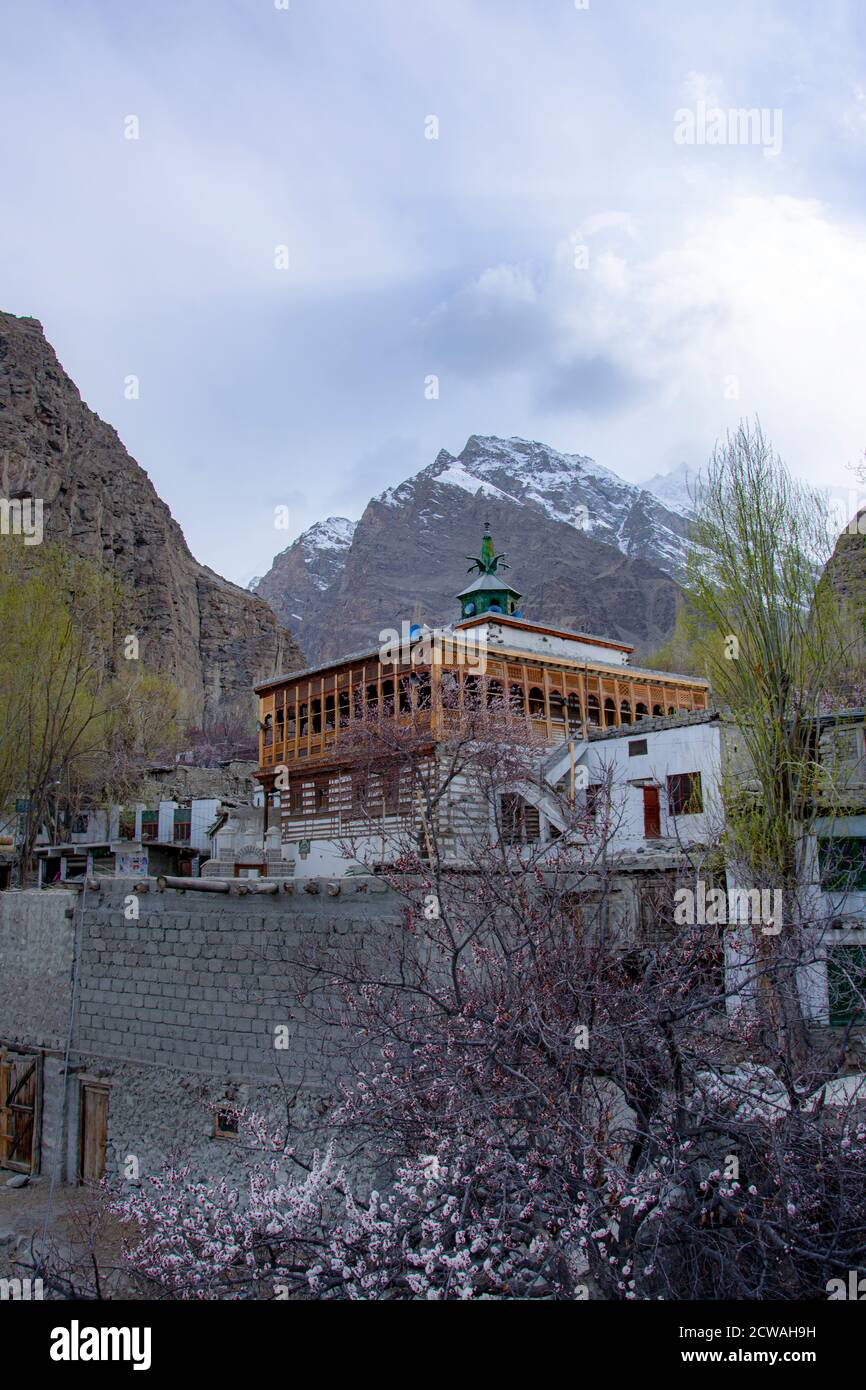 spring landscape photography of cherry blossom in northern areas of ...