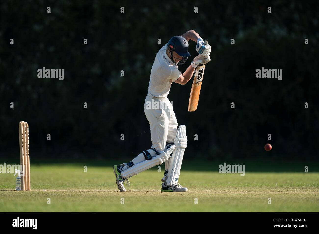 Sport cricket head shot hi-res stock photography and images - Alamy