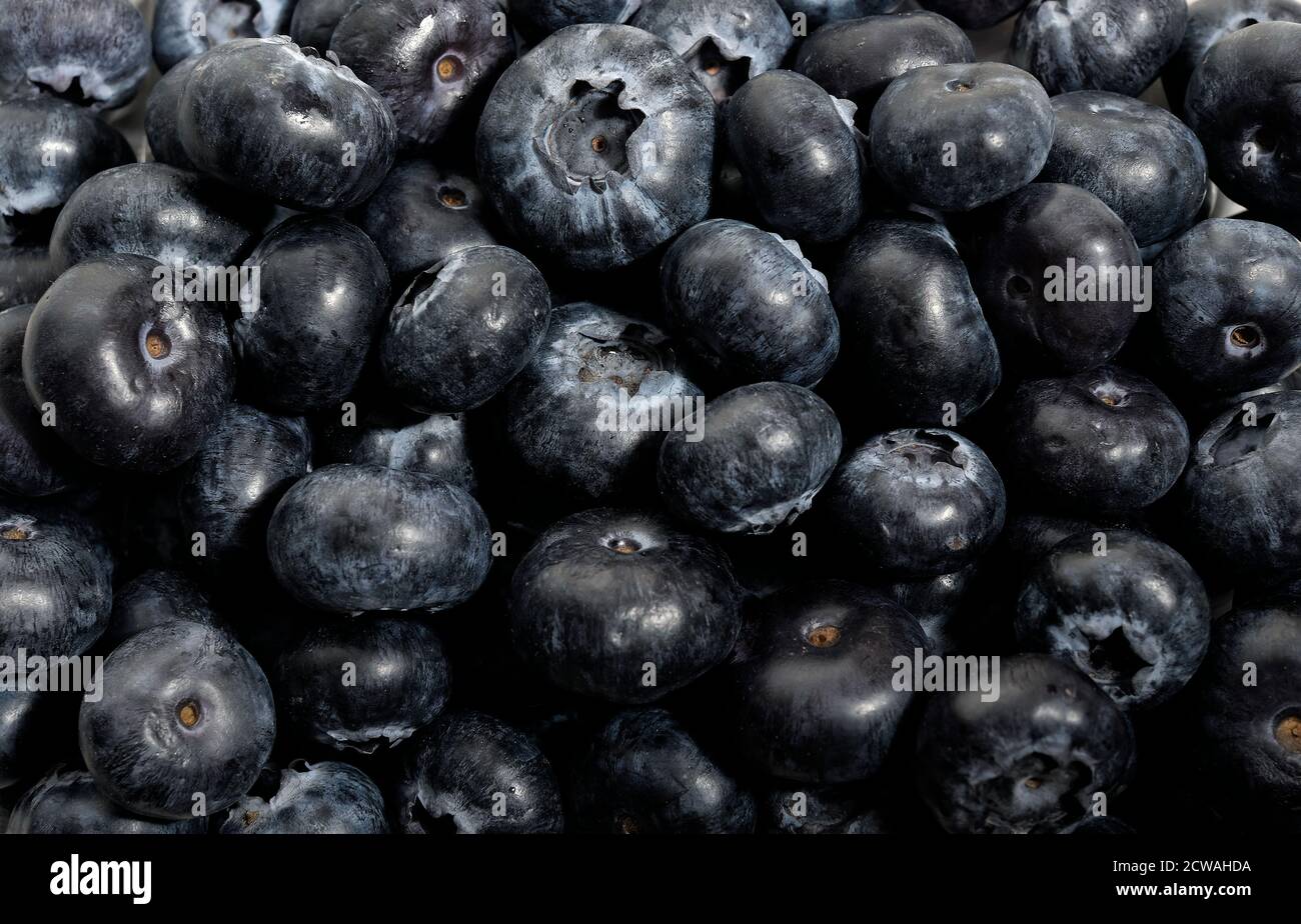 Berry type hi-res stock photography and images - Alamy