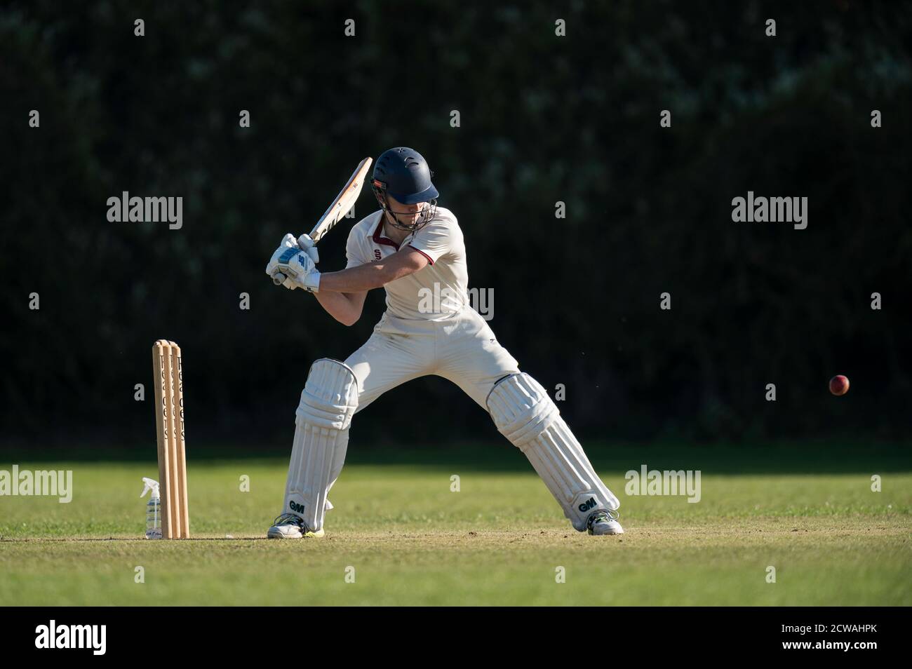Cricket batsman playing shot Stock Photo - Alamy
