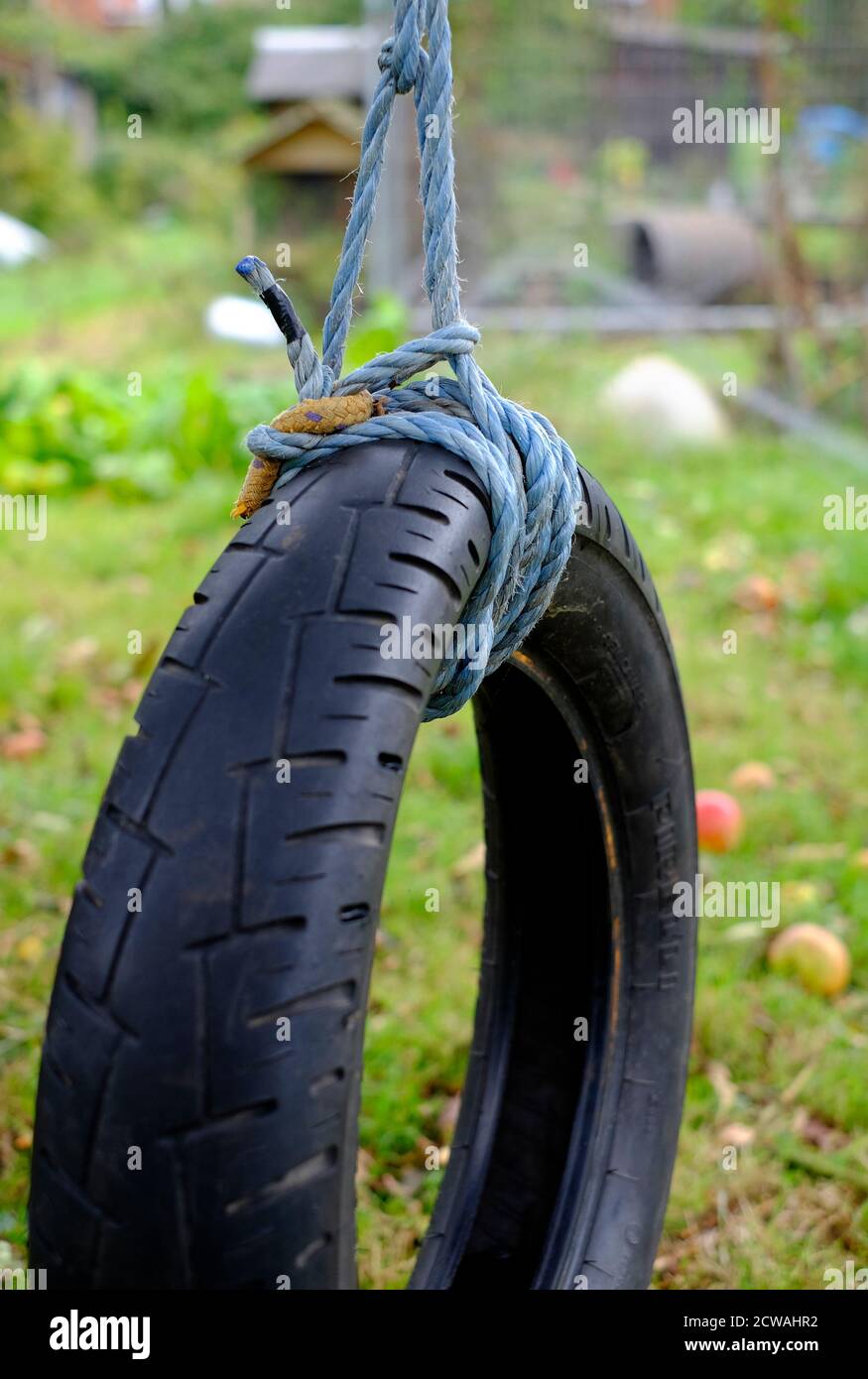 Kids on rope tyre swing hi-res stock photography and images - Alamy