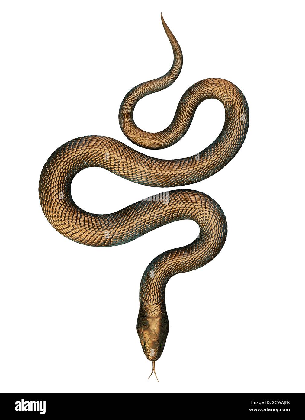 3d Render Snake High Resolution Stock Photography and Images - Alamy