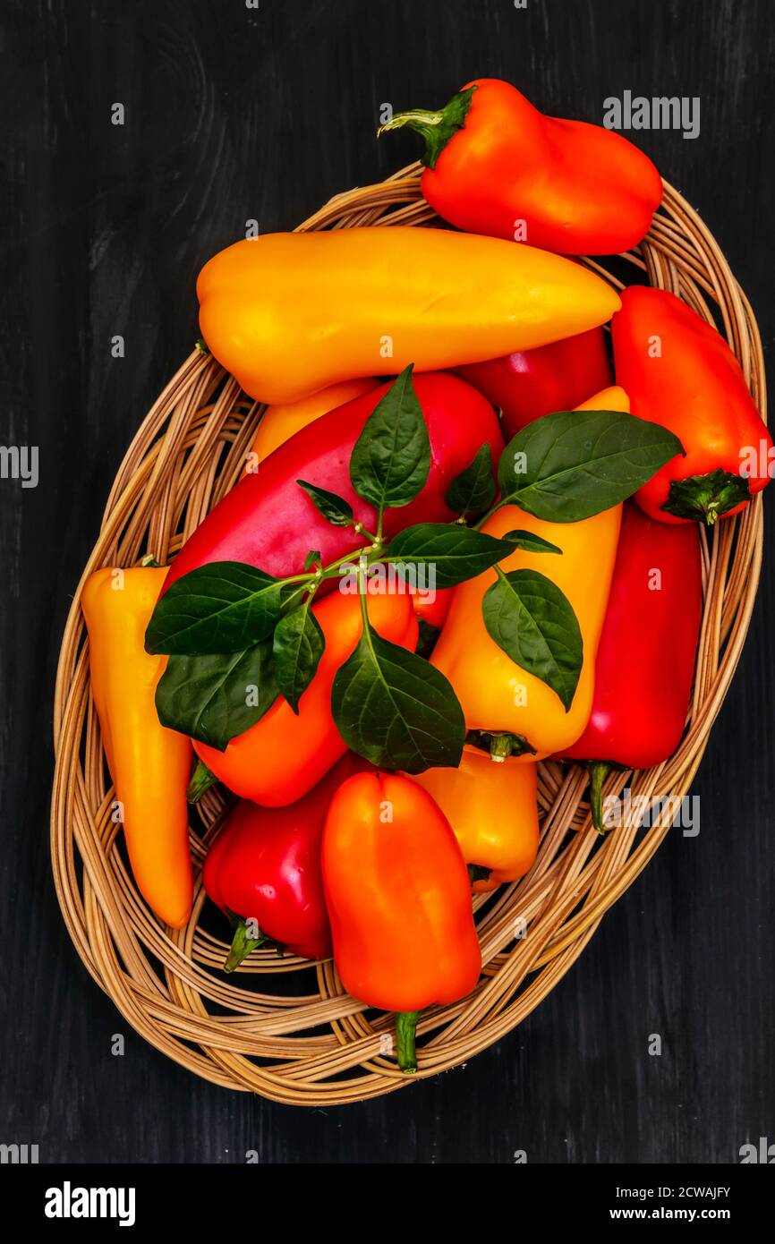 Assorted ripe multi-colored baby peppers: red, orange and yellow. Fresh ...