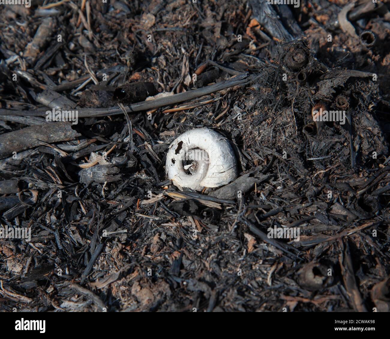 Fire victim hi-res stock photography and images - Alamy