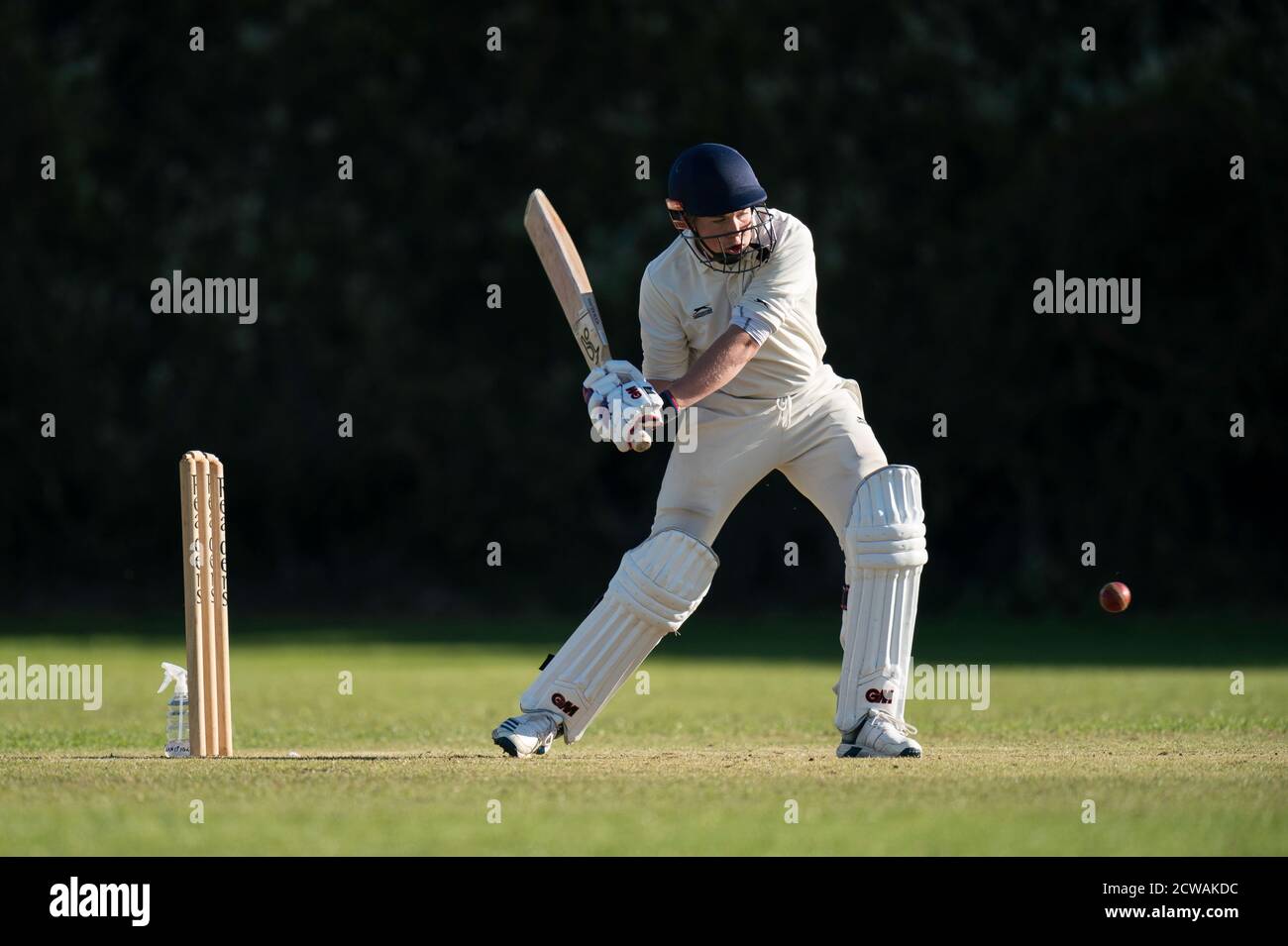 Cricket batsman playing shot Stock Photo - Alamy