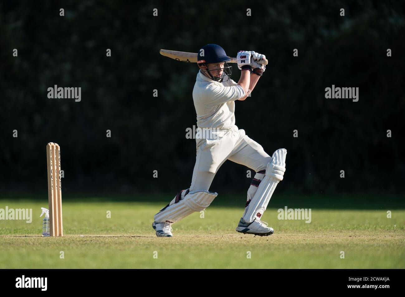 Sport cricket head shot hi-res stock photography and images - Alamy